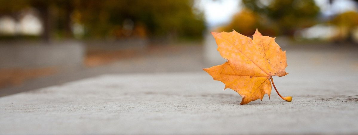 Explore Occupations | Career Center