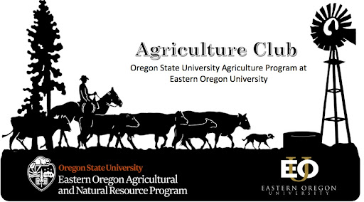 Clubs | Center for Student Involvement