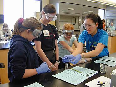 Science, Technology, Mathematics, & Health Sciences Programs | College ...