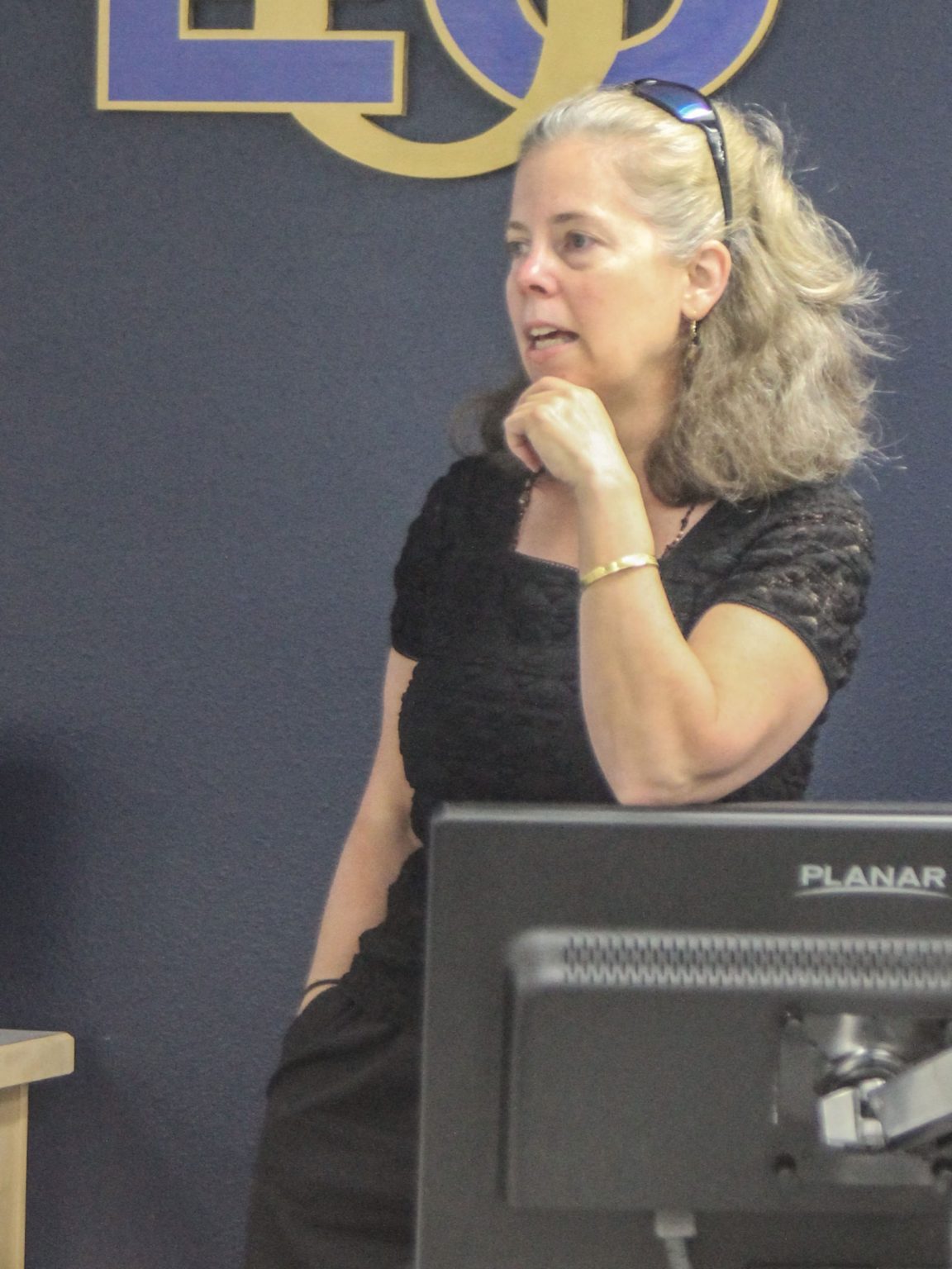 Dr. Nancy Knowles | English/Writing Program