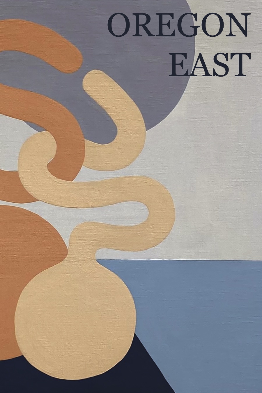 Practicums | Writing MFA