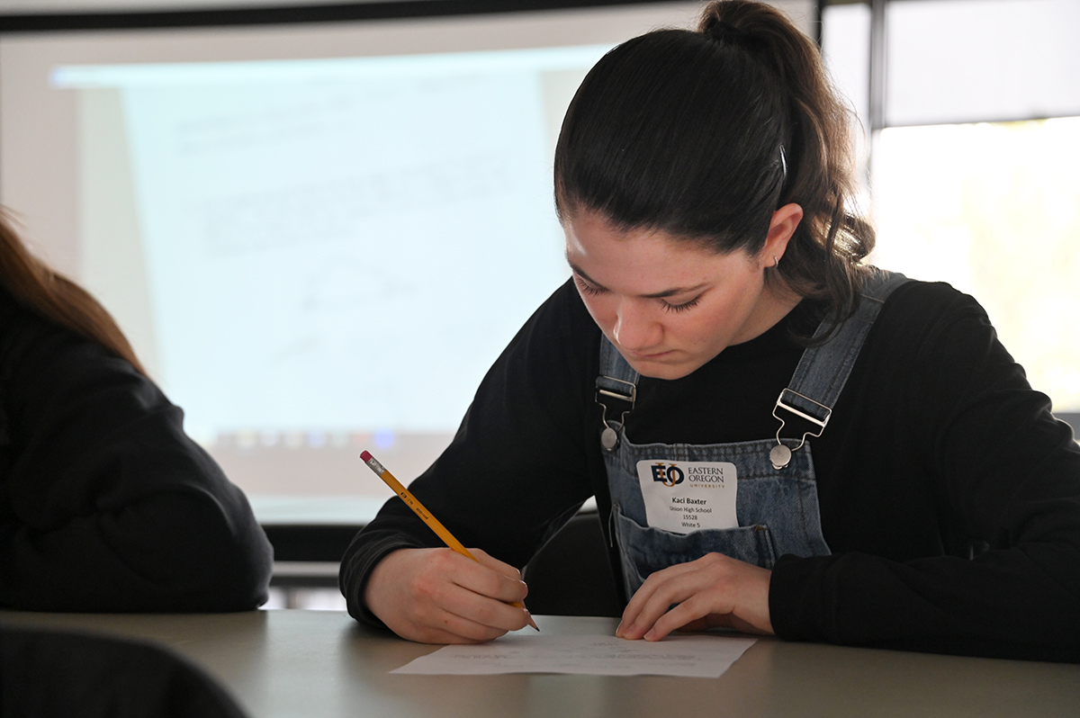 Competition at Regional High School Mathematics Contest makes math fun ...